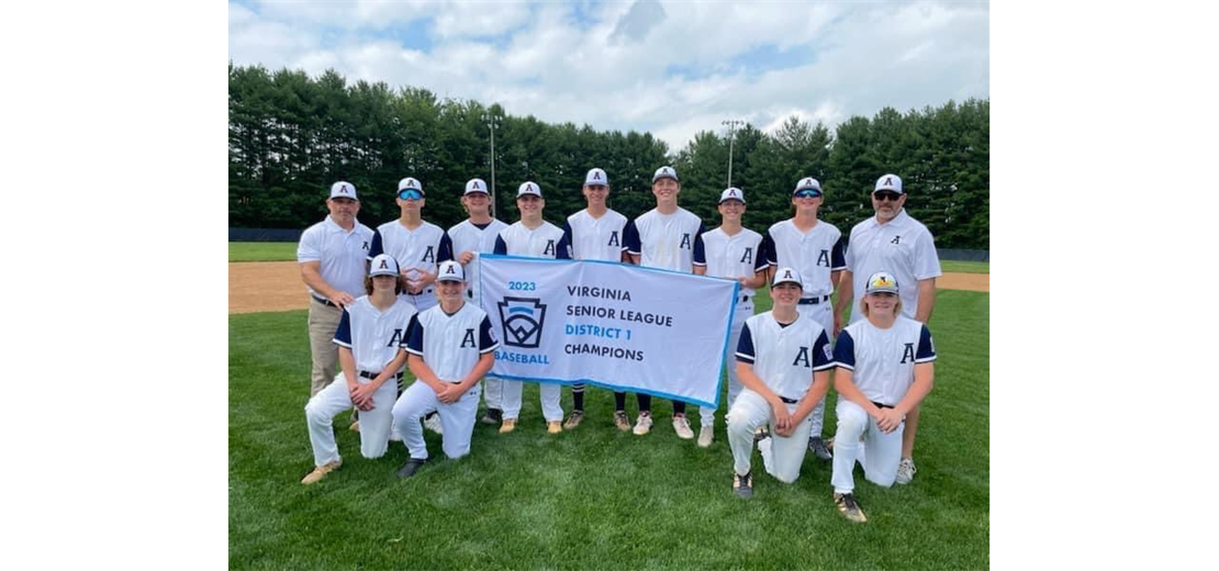 Home [www.abingdonlittleleague.org]